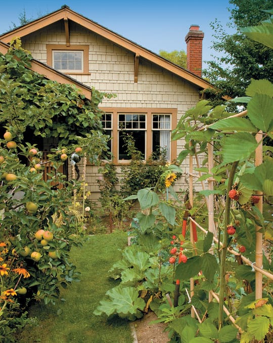 Vancouver Food Garden Provides a Feast for the Eyes - BC Living