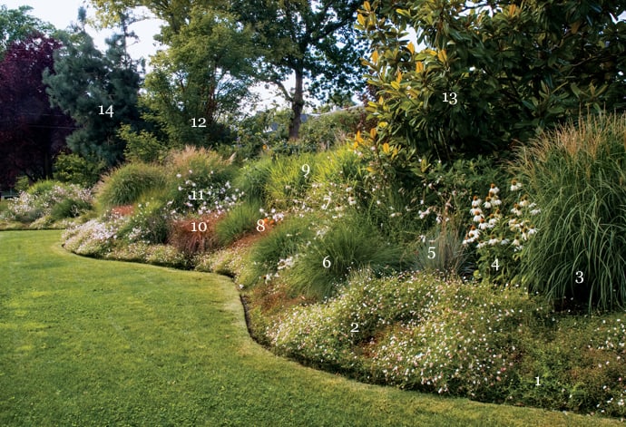 Create a Graceful Street-side Garden - BC Living