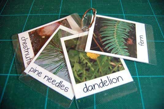 DIY: Amanda's flash cards for kids - BC Living