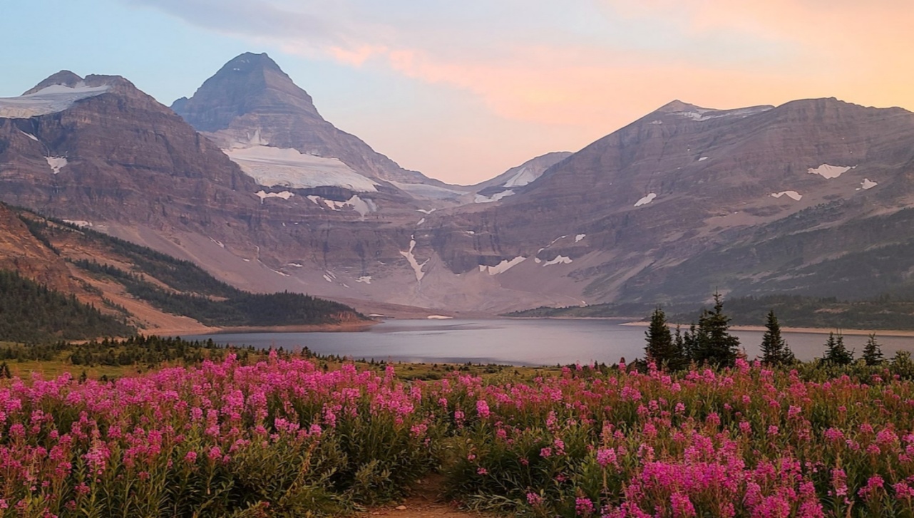 A Guide to British Columbia’s Hiking Trails for Every Adventure - BC Living