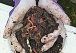 Balcony Worm Composter - BC Living