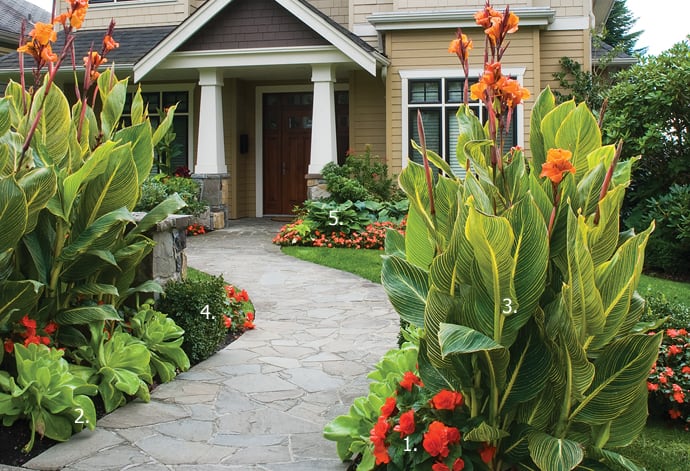 Create a Tropical Garden Entrance - BC Living